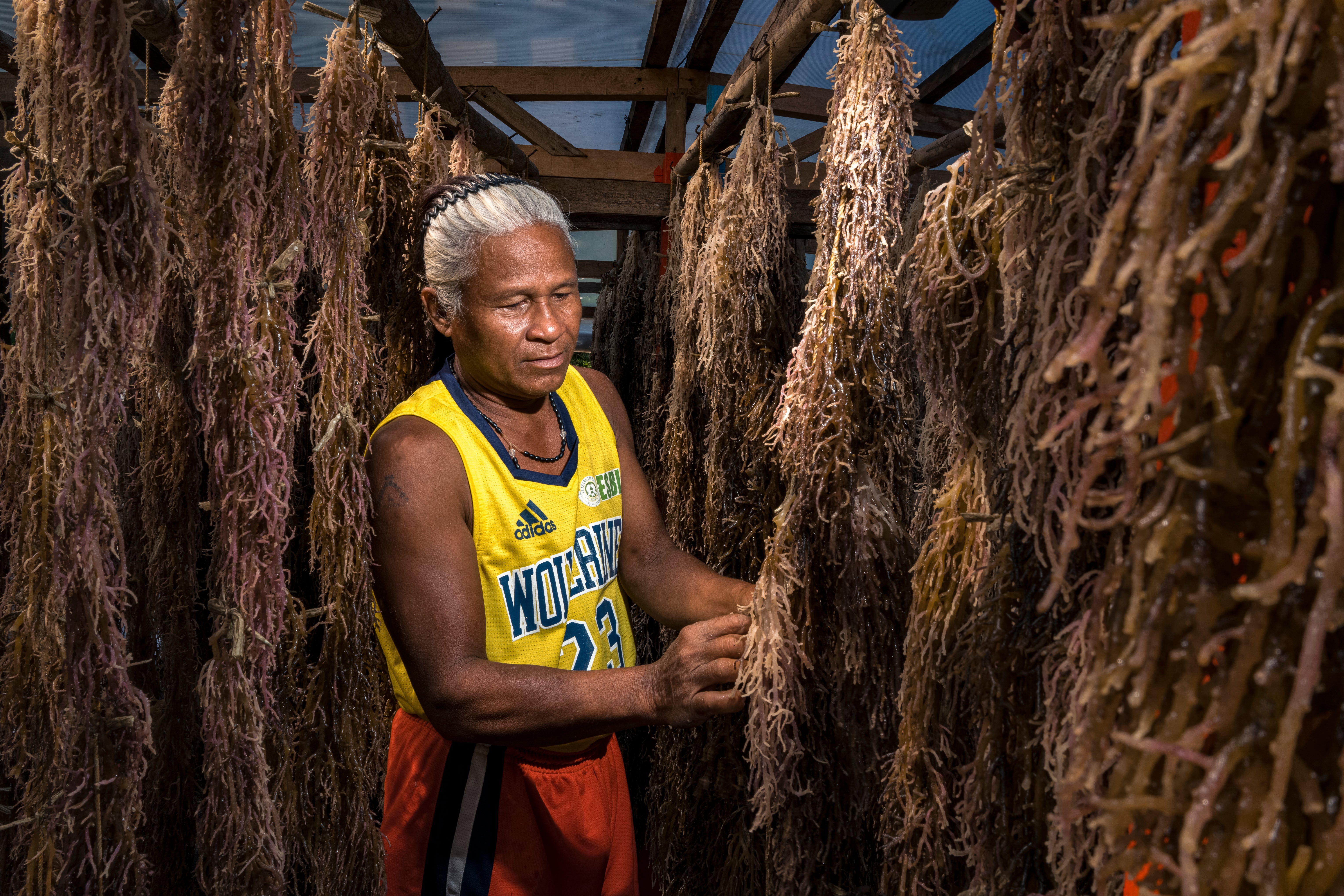 Jessie Cereno - Sakang Dagat – FotomotoPH